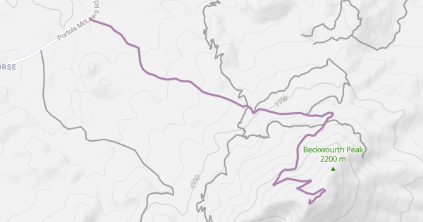Beckwourth Peak Rd Multi Trail - Portola, California