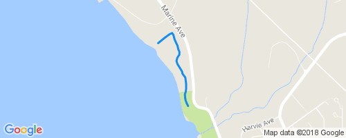 Willingdon Campground Trail Mountain Biking Trail - Powell River