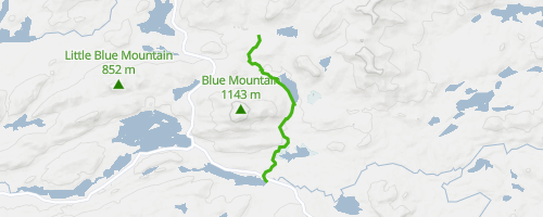 Northville-Placid Trail (Tirrell Pond) Multi Trail - Blue Mountain Lake, NY