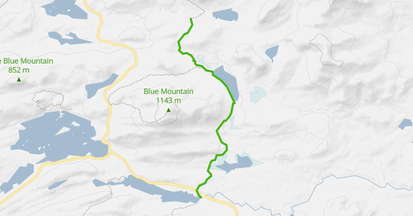 Northville-Placid Trail (Tirrell Pond) Multi Trail - Blue Mountain Lake, NY