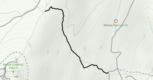 Thunderbolt Run Ski Trail Multi Trail - Adams, MA