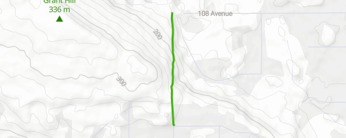 Thornhill Trail Horseback Trail - Maple Ridge, BC