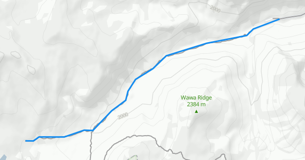Healy Pass Trail Hiking Trail - Banff, Alberta