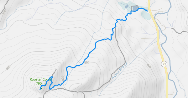Rooster Comb Trail Hiking Trail - Lake Placid, New York