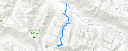 Mink Lake Trail Hiking Trail - - Washington | Trailforks