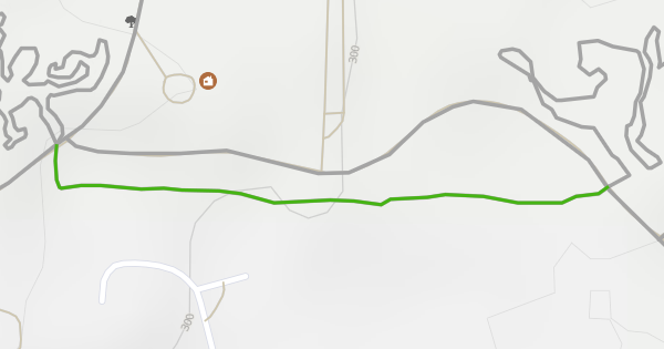 Hedge Row Mountain Biking Trail - Jackson, Michigan