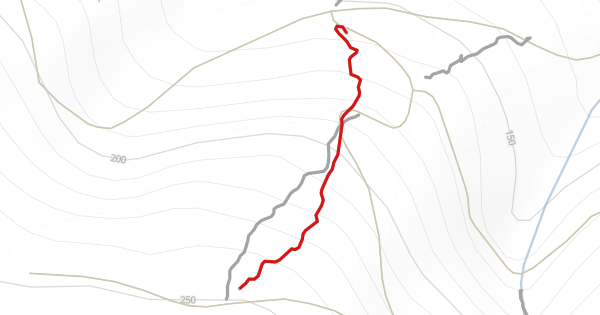 Pallet Land Mountain Biking Trail - Pontypridd