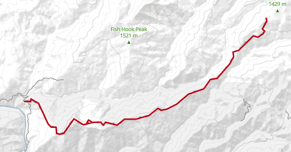 Silver Peak Hobson Horn Trail Multi Trail - Gold Beach, OR