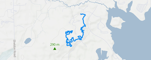 Bee Line Mountain Biking Trail - Oakland Township, MI