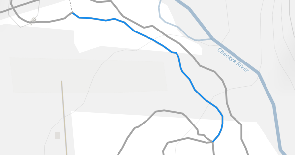 The Cobbler Dirtbiking Trail - Squamish, British Columbia