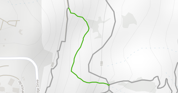 Spring Box Trail Hiking Trail - Santa Cruz, California