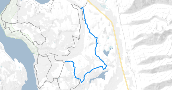 Singletrack 1 Dirtbiking Trail - Baynes Lake, BC