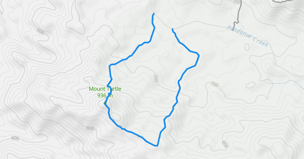 Turtle Head Rock Walking Track Hiking Trail