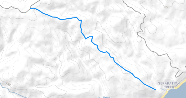Wye Track Multi Trail - Great Otways, Deans Marsh