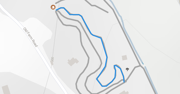 BRMBSP Blue Line Mountain Biking Trail - Blacksburg