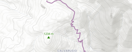 Selva Piana Cusano - Calvarusio Multi Trail - Cusano Mutri