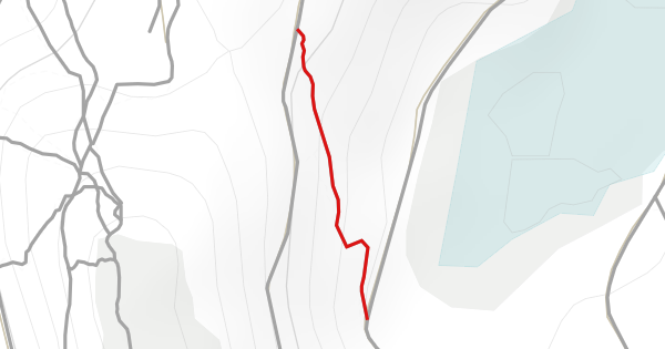 Slab Bypass Mountain Biking Trail - Dalbeattie
