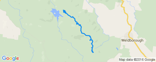 Atlas Mountain Biking Trail - Blue Derby, Launceston