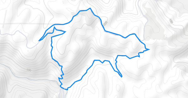 Waipatiki Trail Mountain Biking Trail - Napier