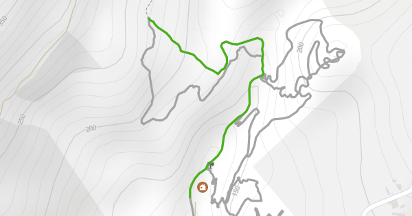 Mt Cargill Walking Track (Lower) Multi Trail - Dunedin