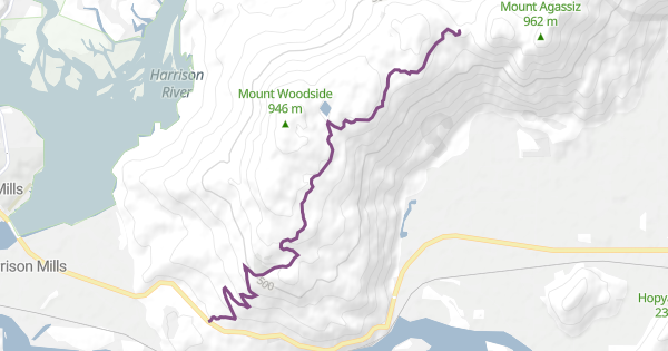 Mount Woodside Forest Service Road Multi Trail - Harrison Hot Springs, BC