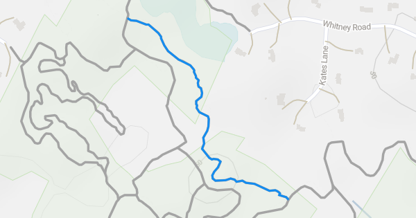 Coolidge Trail Connector Mountain Biking Trail - Boxford, MA