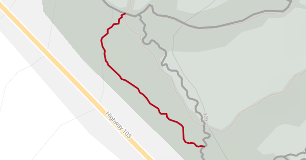 Pipeline Mountain Biking Trail - Timberlea, Nova Scotia