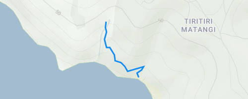 Tiritiri Matangi Kawerau Track Hiking Trail