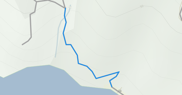 Tiritiri Matangi Kawerau Track Hiking Trail