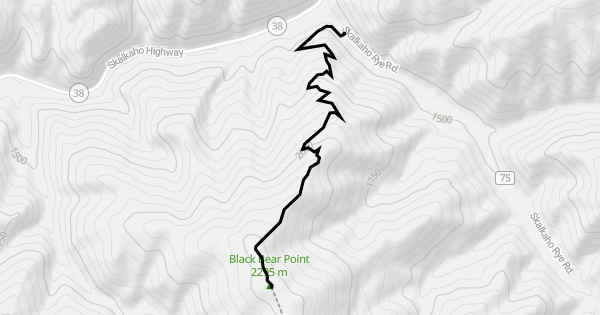 Black Bear Point Mountain Biking Trail - Hamilton, MT