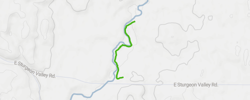 Shingle Mill Pathway 3/4 Mile loop Mountain Biking Trail - Vanderbilt