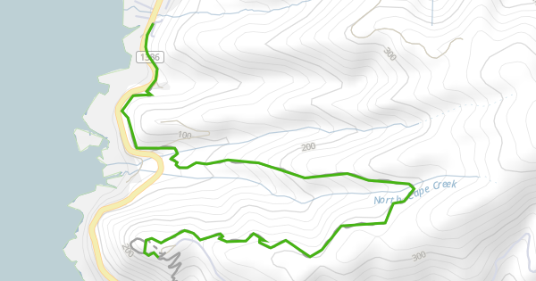 OCT - Amanda's Loop Trail Hiking Trail - Yachats, OR