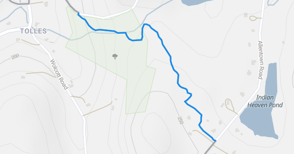 Mattatuck Trail - Buttermilk Falls Hiking Trail - Plymouth, CT