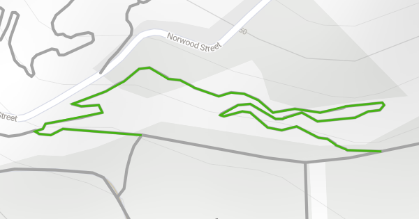 K9 Mountain Biking Trail - Dunedin | Trailforks
