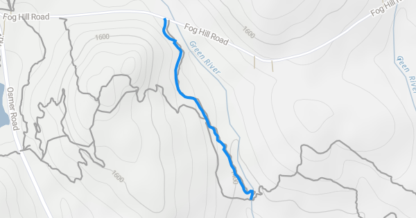Bear Brook Mountain Biking Trail - Austerlitz, New York