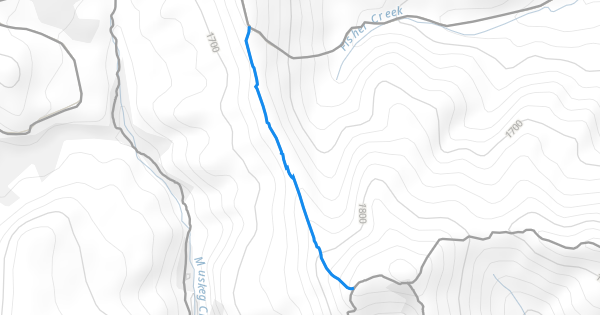Barwell Mountain West Entrance Dirtbiking Trail - Bragg Creek