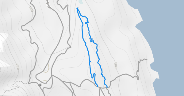 Quarry Ridge Mountain Biking Trail - Fort Collins, CO