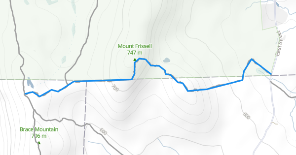 Mt Frissell Trail Hiking Trail - Mount Washington, MA