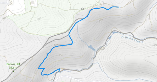 Springwood Trail Multi Trail - | Trailforks