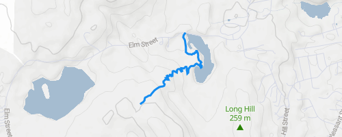 Morse Reservoir Trail Multi Trail - Leominster, MA