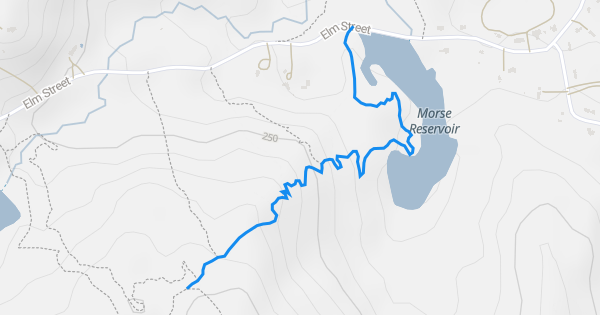 Morse Reservoir Trail Multi Trail - Leominster, MA