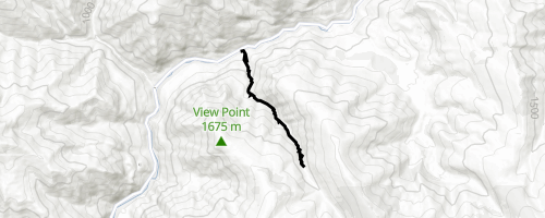 Bay State Trail Mountain Biking Trail - - Montana