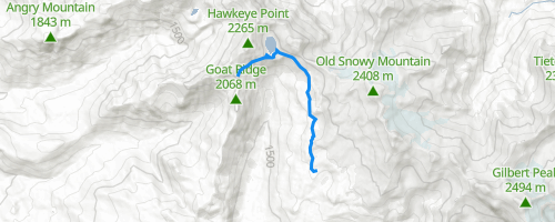 Lily Basin Trail Hiking Trail - Packwood, Washington