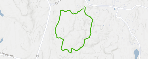 Timberton Loop Mountain Biking Trail - Port Ludlow