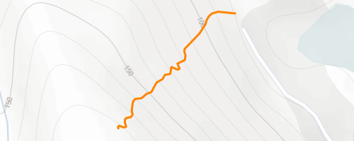 Black Mamba Mountain Biking Trail - Haukås, Bergen