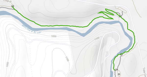 McCloud River Falls Trail Hiking Trail - McCloud, CA