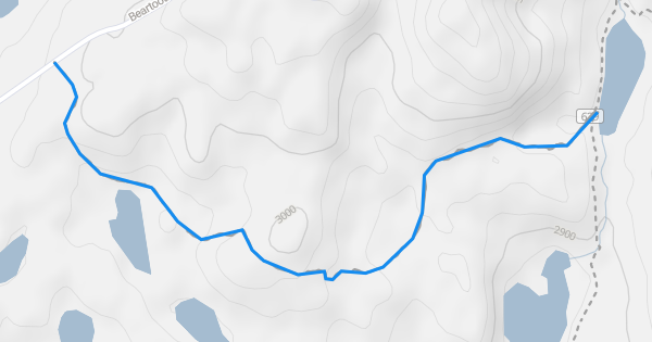 Beartooth Loop/Houser Lake Trail Multi Trail - Cody