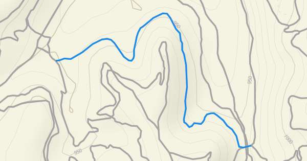 Benchmark Mountain Biking Trail - Las Vegas, Nevada