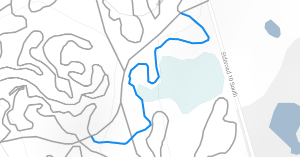 Root Mountain Biking Trail - Puslinch Township, Ontario