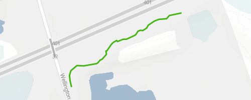 401 Mountain Biking Trail - Puslinch Township, Ontario
